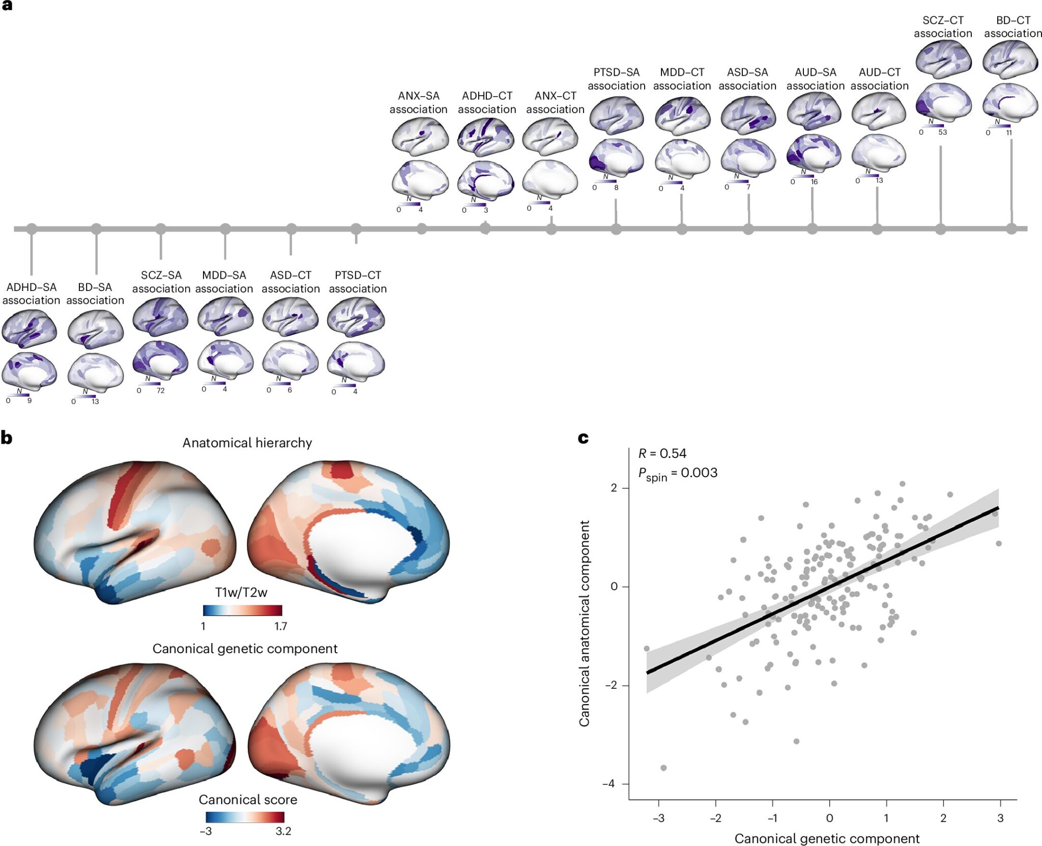 Your Genes May Be Quietly Reshaping Your Brain—and Influencing Mental ...
