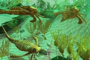 The Cambrian Explosion: The Birth of Animal Diversity