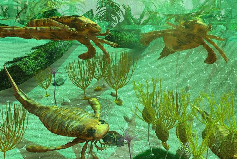 The Cambrian Explosion: The Birth of Animal Diversity