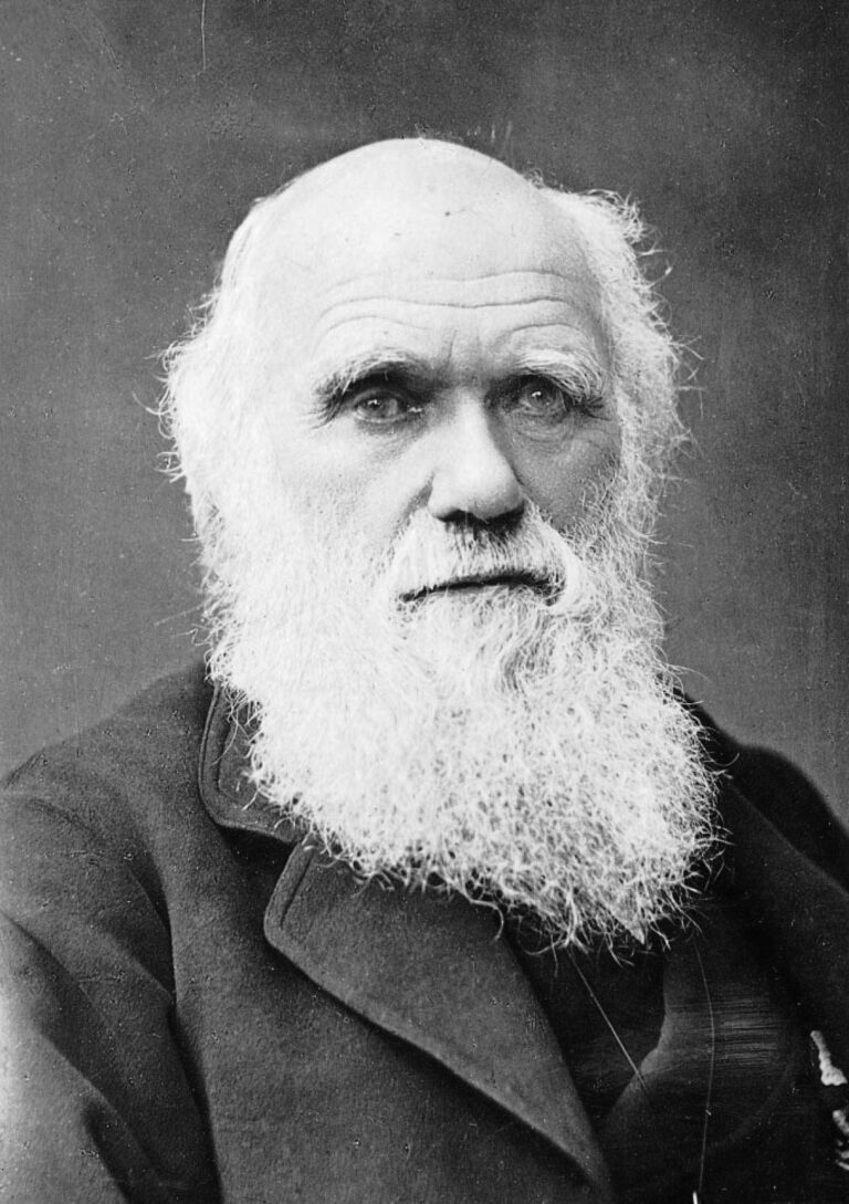 10 Most Important Contributions of Charles Darwin