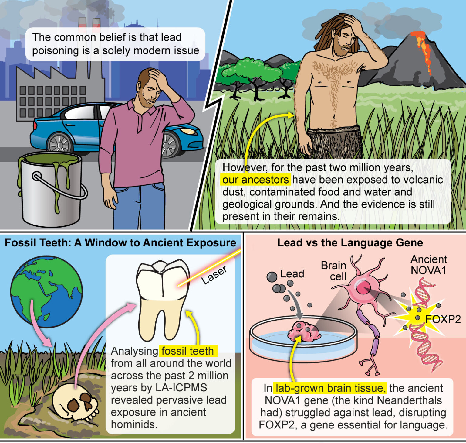 Did Lead Poisoning Help Create Humanity? Shocking Study Says It May ...