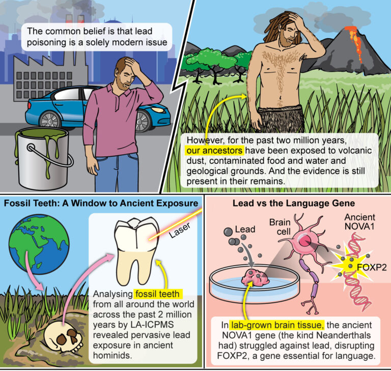 Did Lead Poisoning Help Create Humanity? Shocking Study Says It May ...