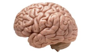 10 Greatest Breakthroughs in Modern Science