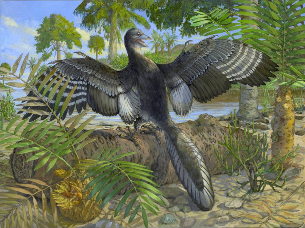 10 Animals That Changed How We Understand Evolution