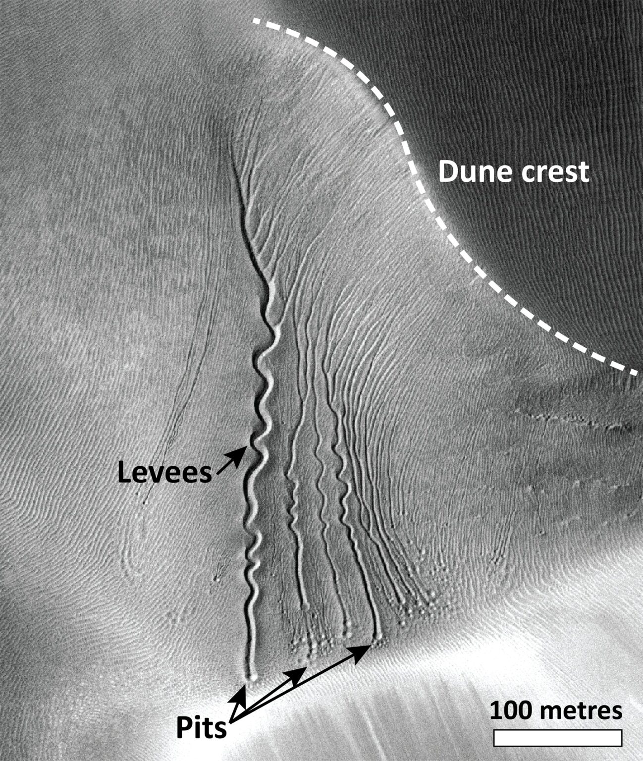 No Life on Mars Yet—But Its Sand Moves Like It’s Alive, Says Surprised ...
