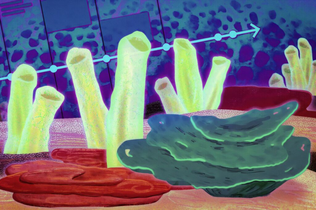 Scientists May Have Found Earth’s First Animal—and It’s Not What You Think