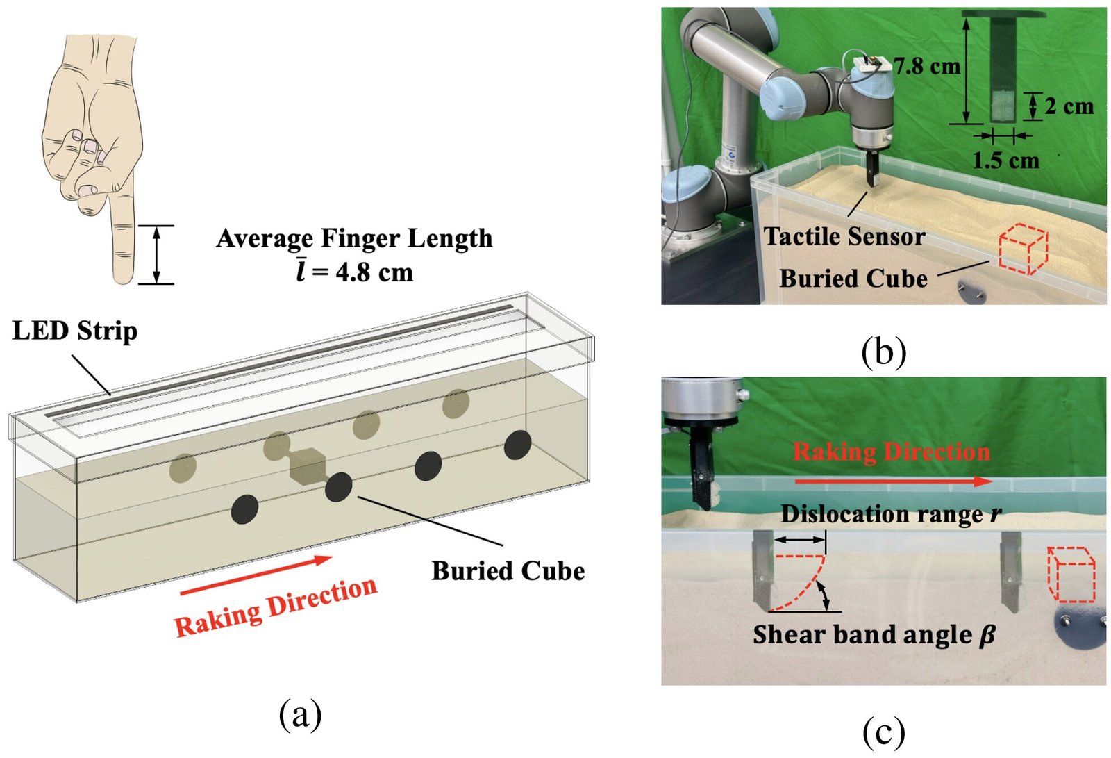 Humans Can “Feel” Objects Without Touching Them—New Study Reveals ...