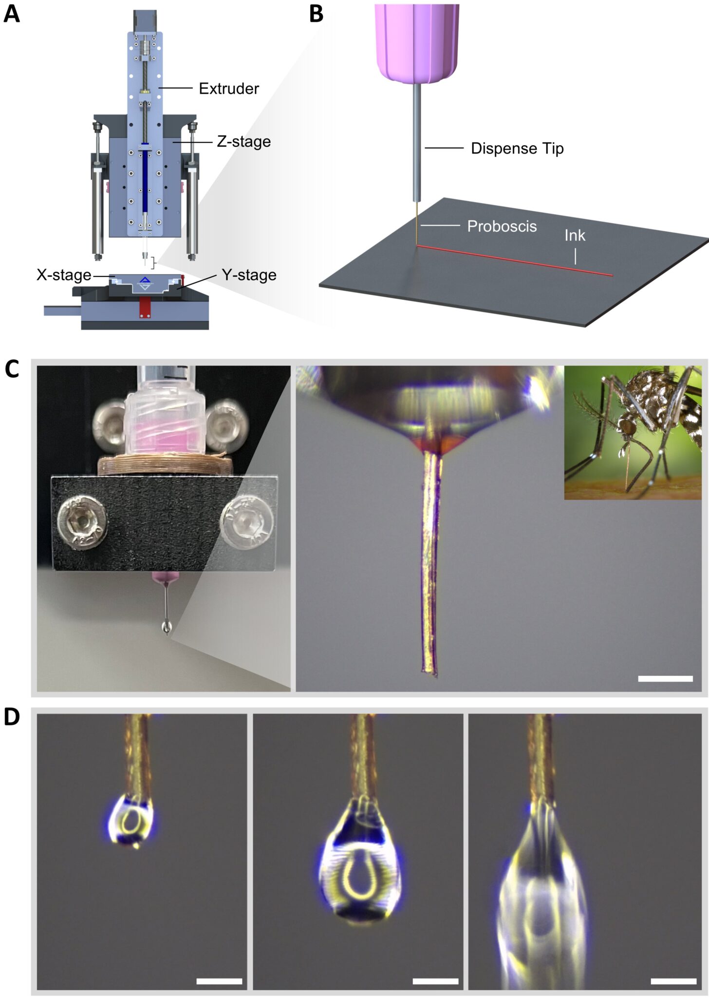 Scientists Use a Mosquito’s Mouthpart to Create the Future of 3D ...