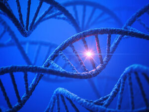 What is a Gene? How DNA’s Building Blocks Shape Life and Health