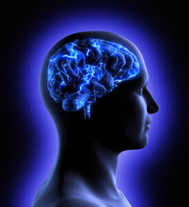 Do We Only Use 10% of Our Brain? The Real Story