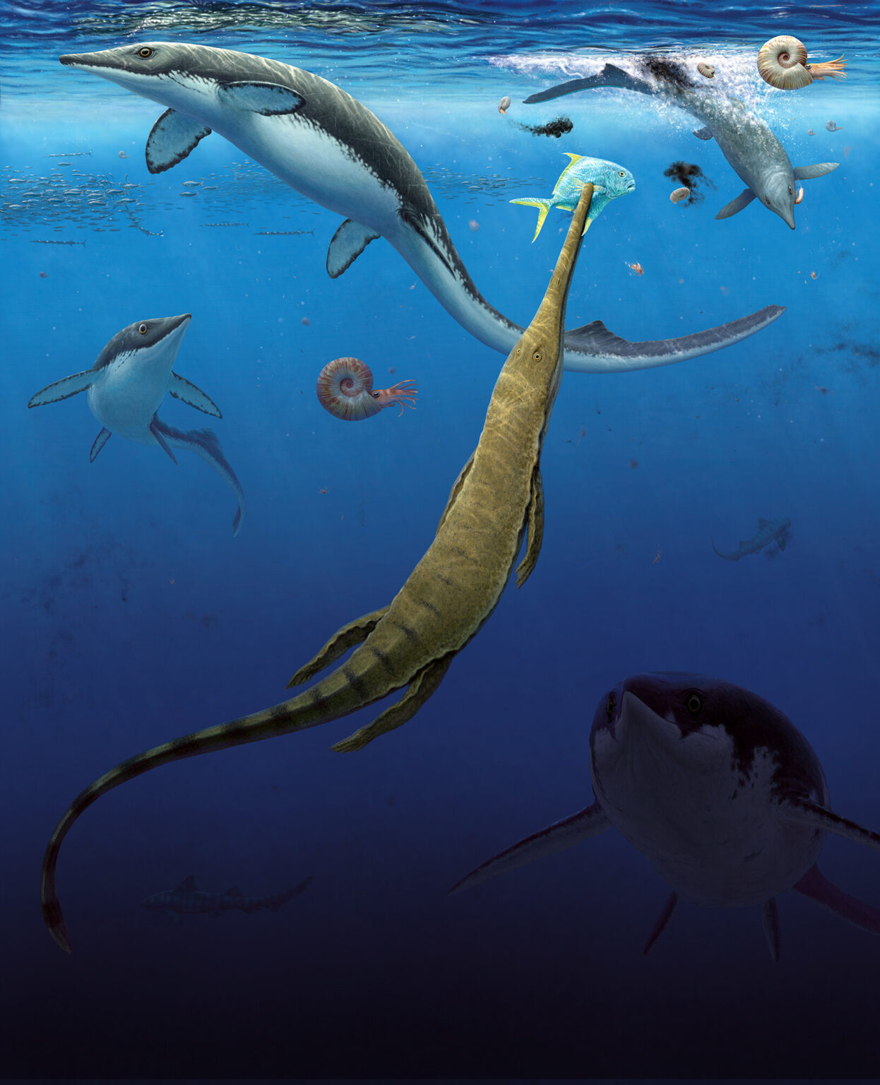 Scientists Uncover 30,000 Fossils in the Arctic — And They Rewrite the ...