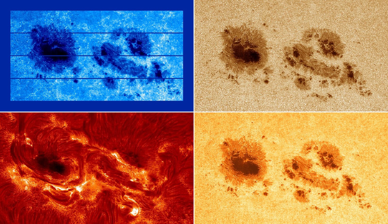 Scientists Capture Unprecedented Images of Explosive Solar Flares That ...