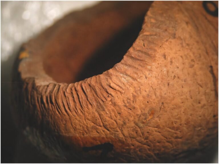 The Real Culprit Behind Easter Island’s Collapse Wasn’t Humans — It Was ...