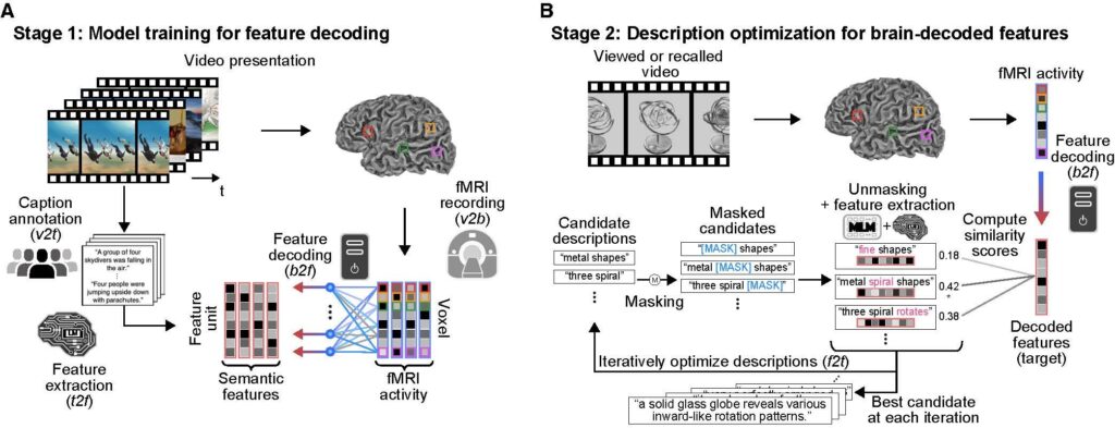 Scientists Can Now Turn Your Thoughts Into Words — Here’s How “Mind ...