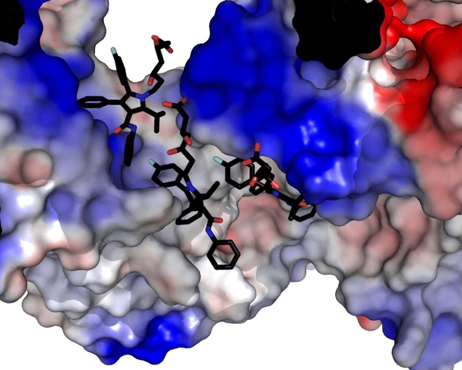 Scientists Uncover the Secret Behind Statin Side Effects—And a Path to ...