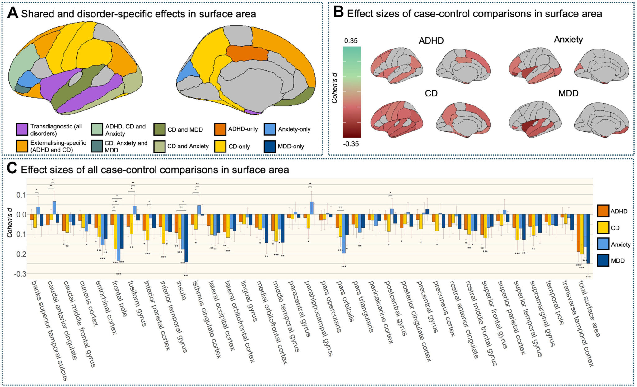 Scientists Discover Shocking Similarities in the Brain Structures of ...