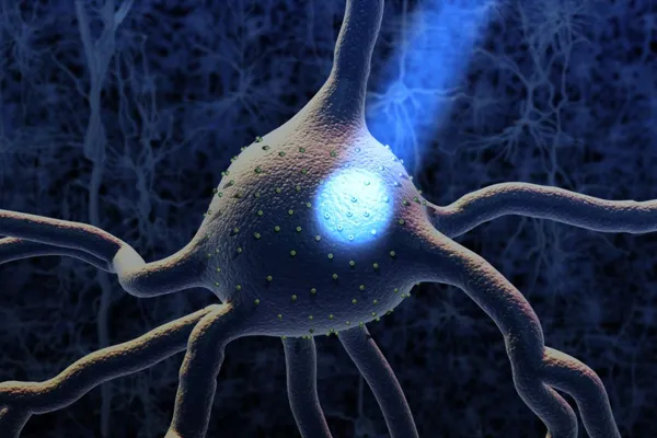 Optogenetics: Controlling Brain Cells with Light