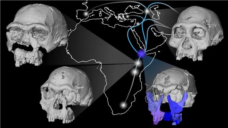 Scientists Bring a 1.5-Million-Year-Old Human Face Back to Life – You ...