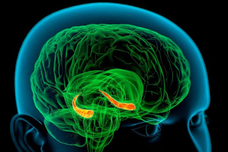 The Molecular Basis of Sadness: What Happens Inside a Depressed Brain