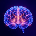 The Neuroscience of Focus: Why Your Brain Struggles with Multitasking