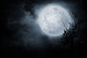 The Mystery of Nightmares: Why the Brain Rehearses Fear