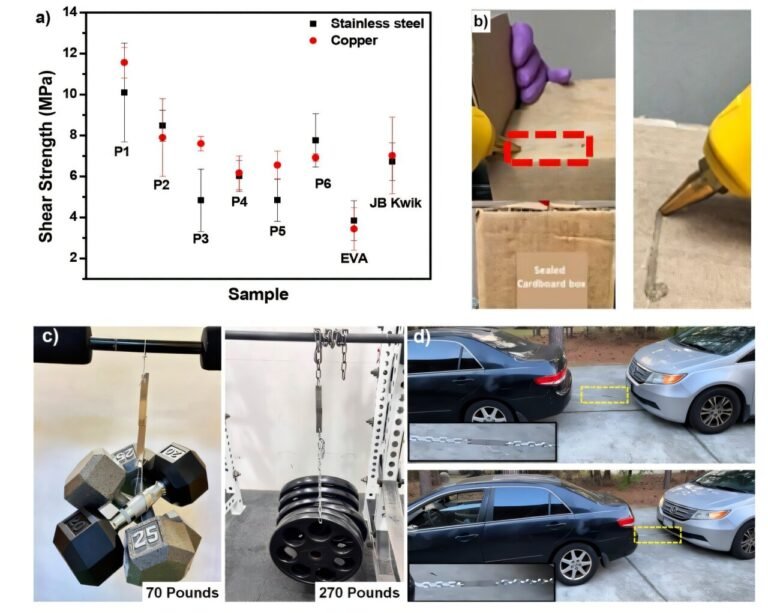 Scientists Turn Greasy Waste Cooking Oil Into Super-Strong Plastic That ...