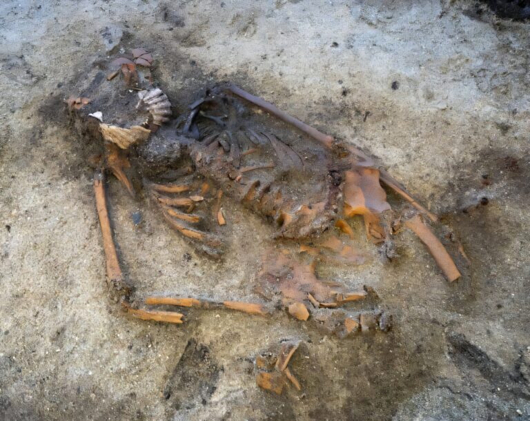 Archaeologists Uncover Viking Woman Buried With Mysterious Shells Over ...