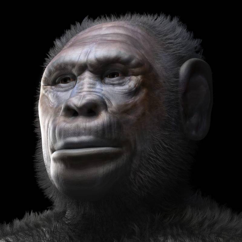 The First Humans to Leave Africa Might Not Have Been One Species After All