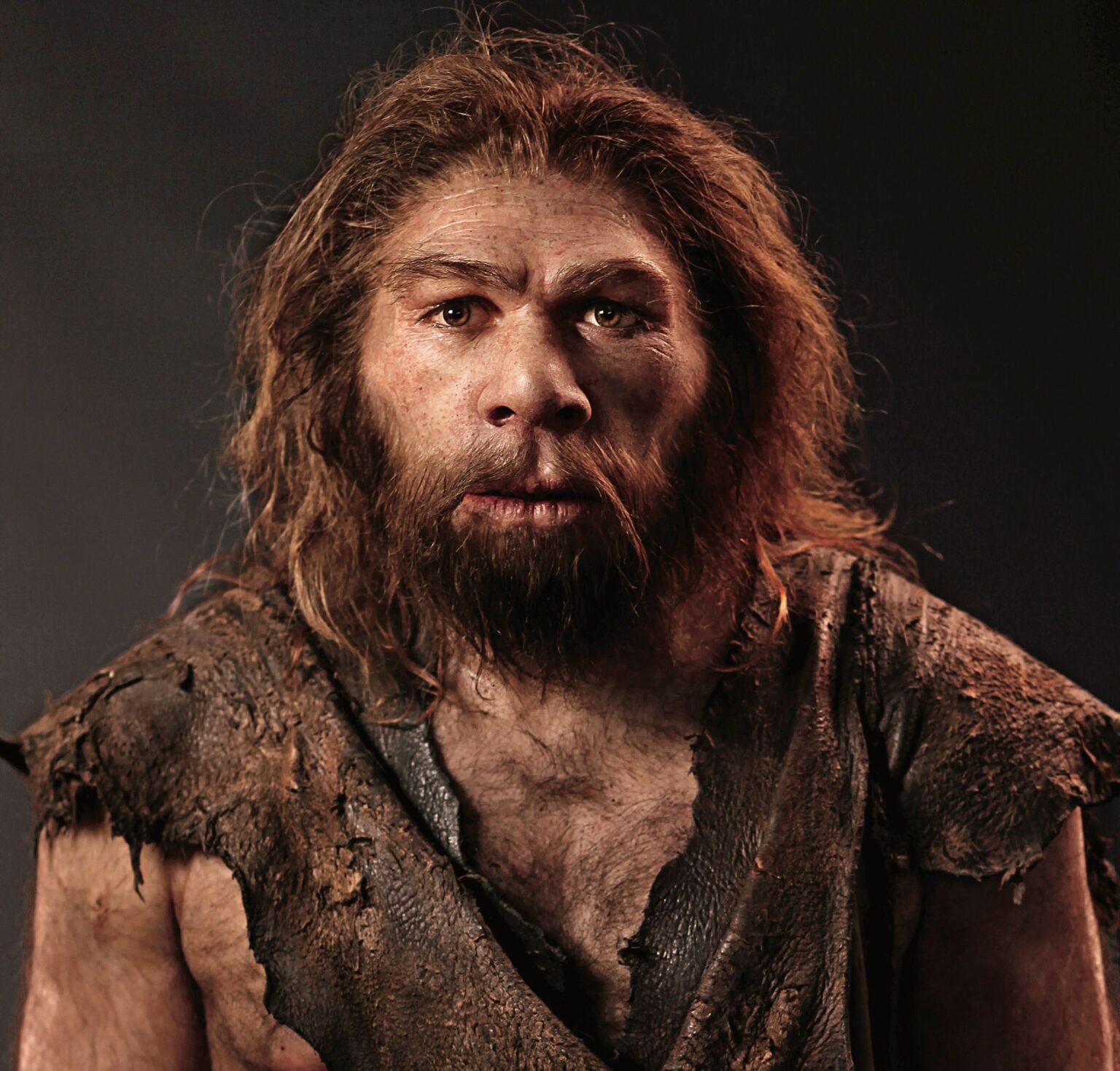6 Myths About Neanderthals Science Has Since Debunked