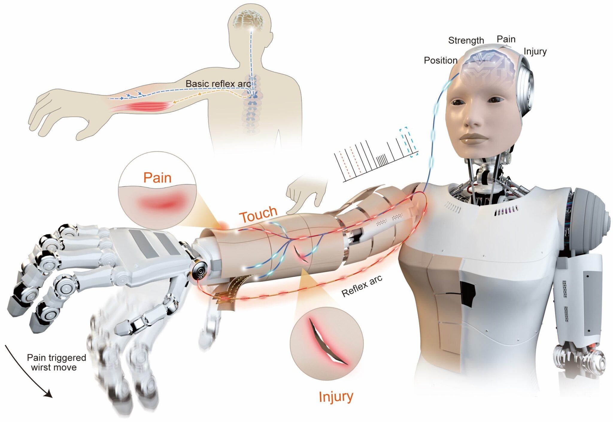 This New Robotic Skin Can Feel Pain and React Faster Than a Computer Brain