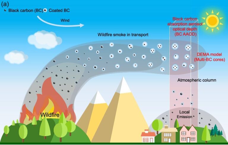 Exploring the Concept of Earth’s “Critical Zone”