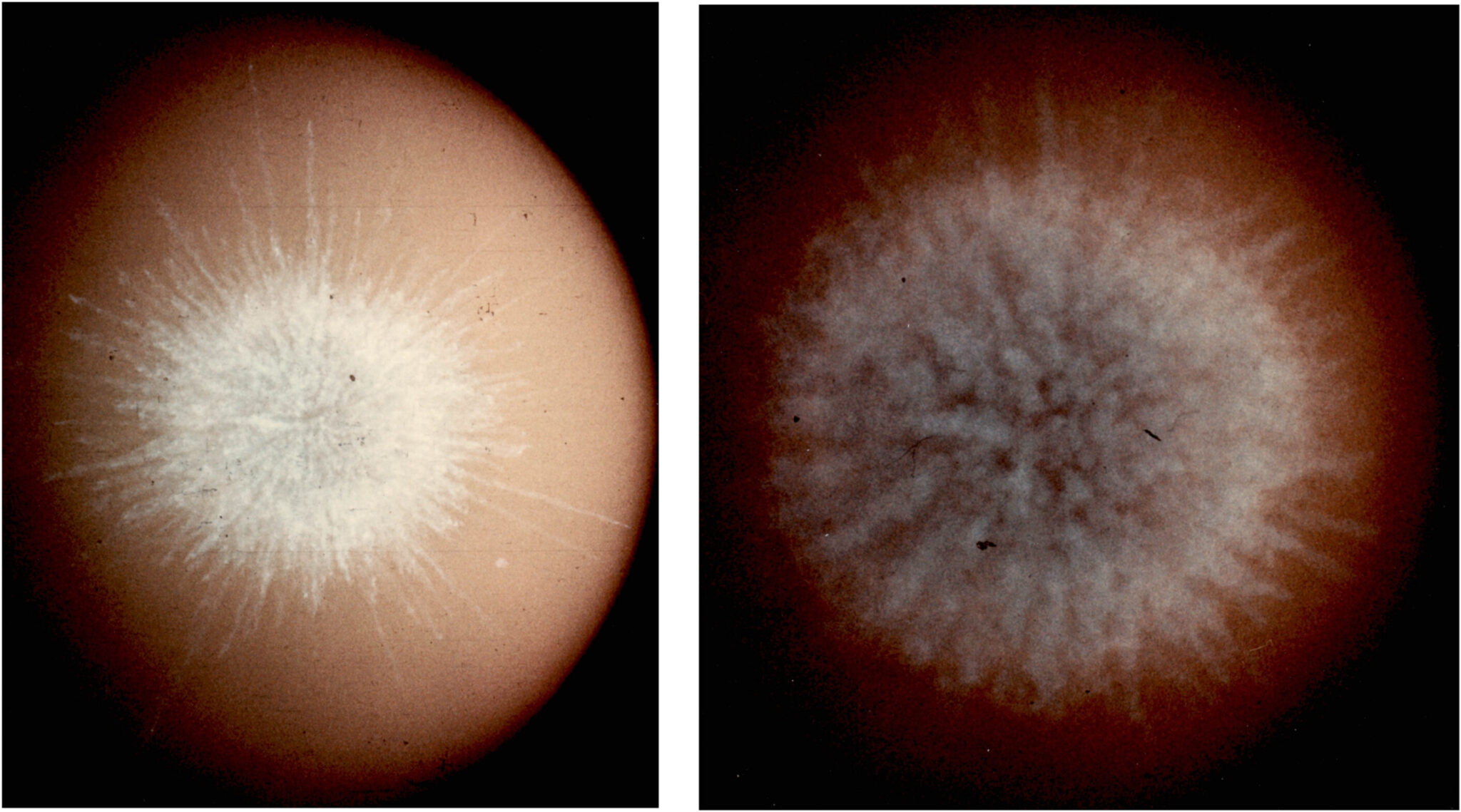 Astronomers Solve the 850 Year Old Mystery of the Sky’s Most Bizarre ...