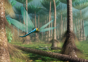 9 Prehistoric Insects That Were Terrifyingly Large