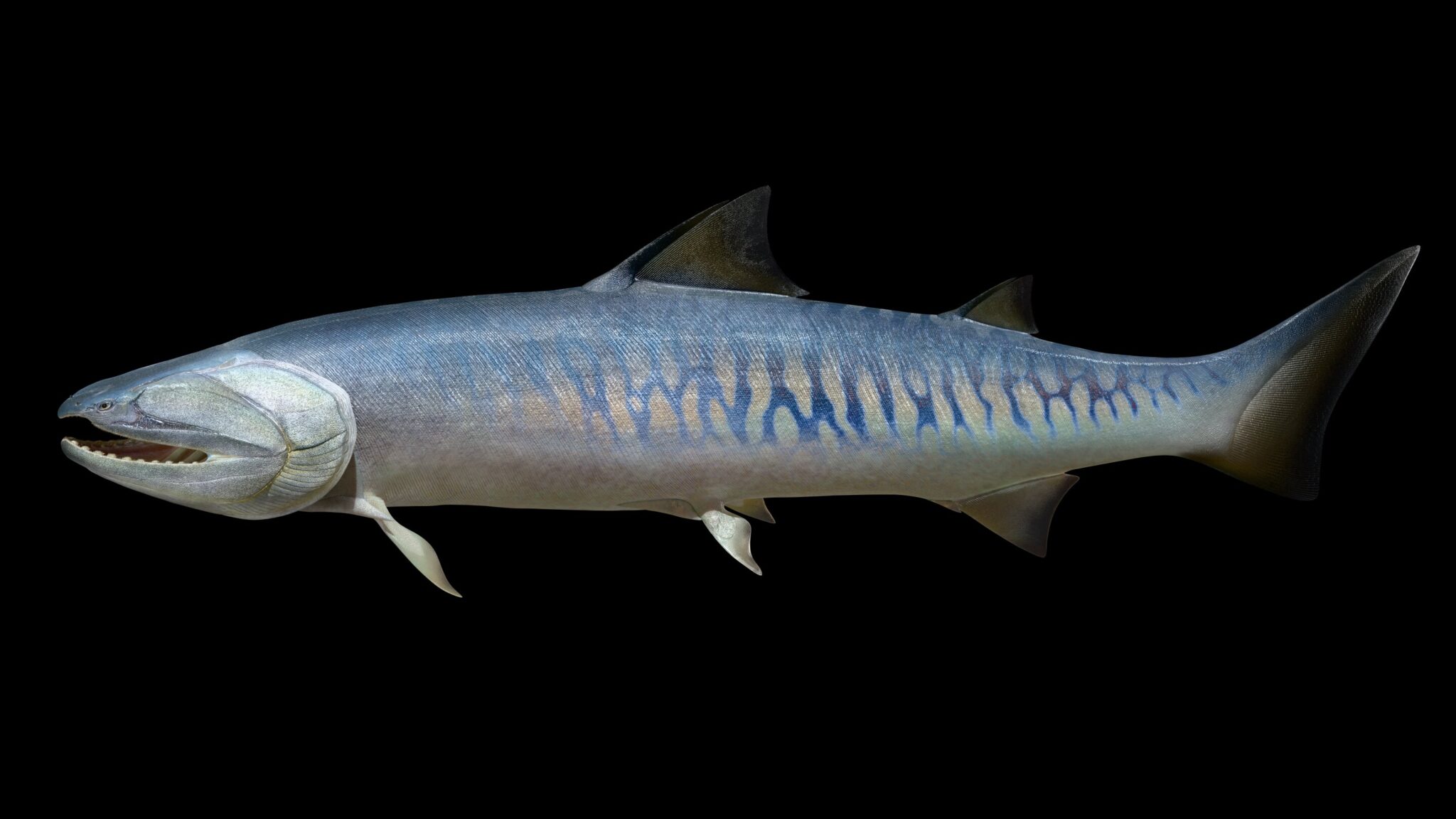 Scientists Finally Found the Missing Link That Explains How Fish ...