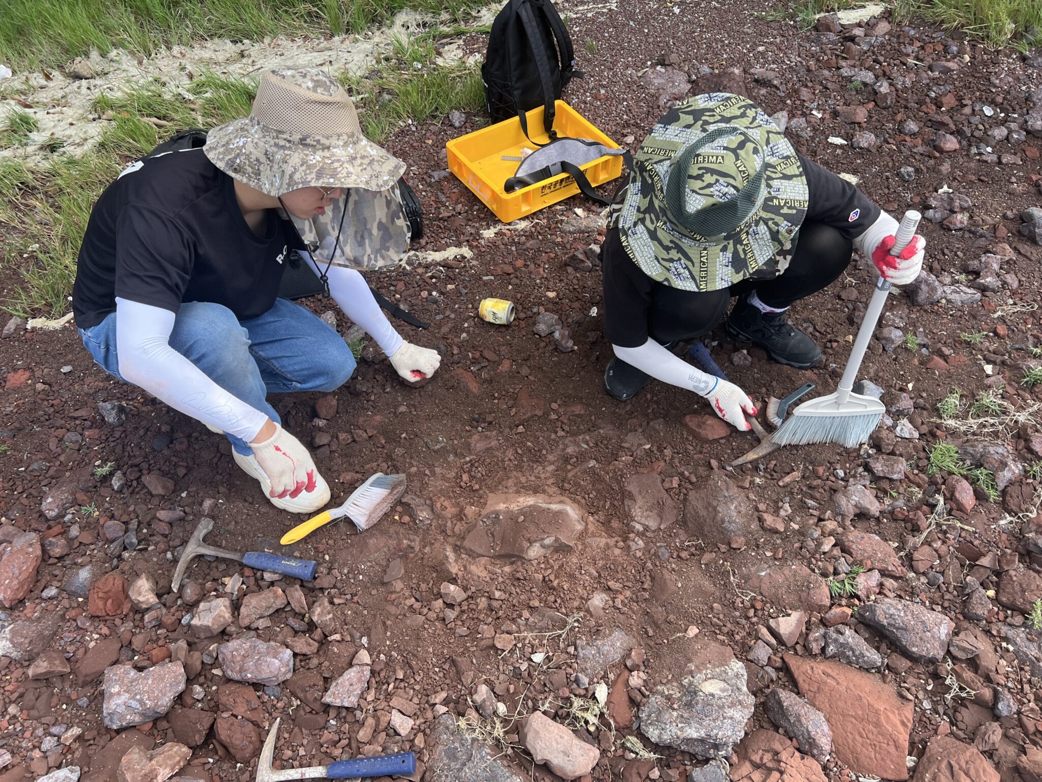 The Rare Skull Found Hiding Inside a 94-Million-Year-Old Mystery Block