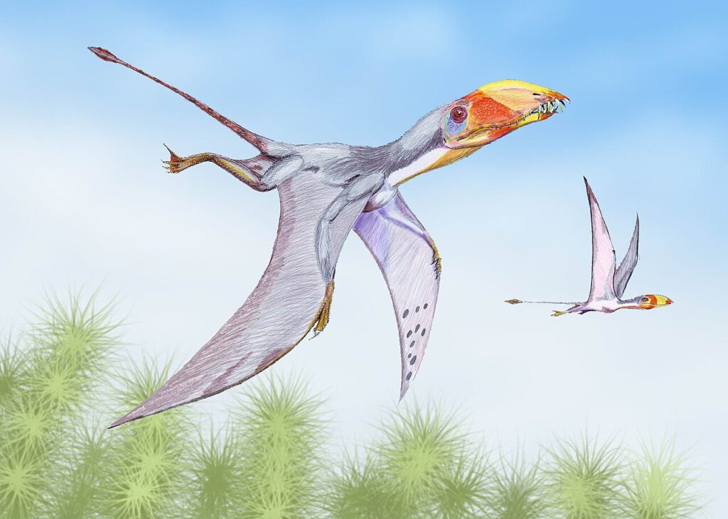 Dimorphodon: The Weird-Looking Flyer of the Early Jurassic