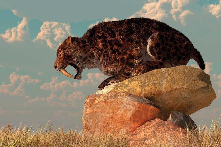 What Really Happened to the Saber-Toothed Tiger?