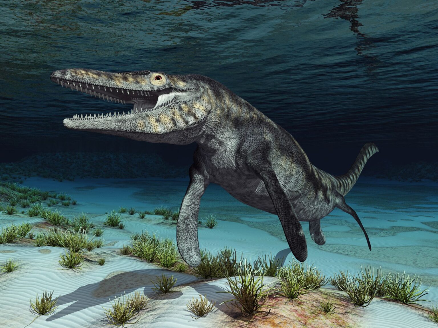 Mosasaurus: The Real-Life Sea Monster of the Cretaceous.