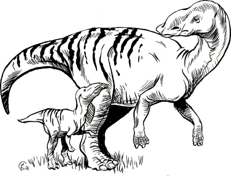 Baby Dinosaurs May Have Eaten Better Than Adults, Tooth Wear Study Suggests