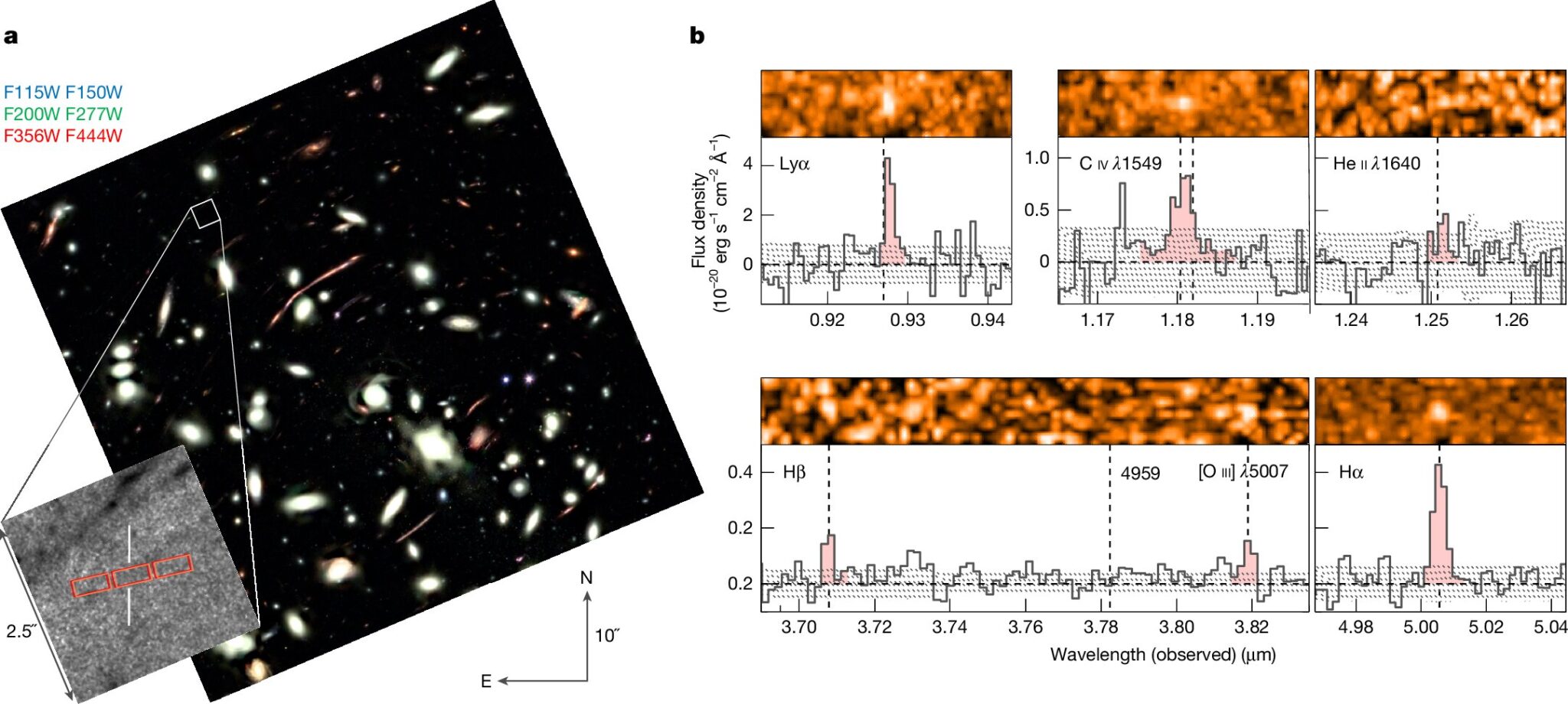 JWST Spots a 13-Billion-Year-Old Galaxy That May Preserve Signs of the ...